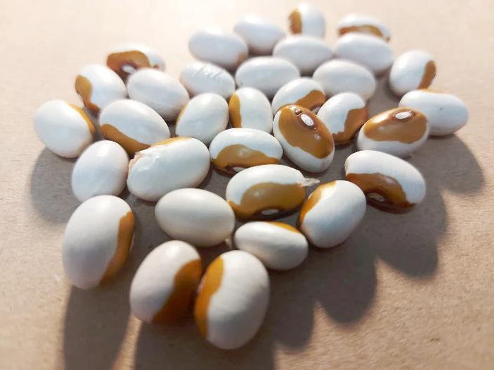 Vegetables – Boondie Seeds