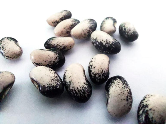 Vegetables – Boondie Seeds