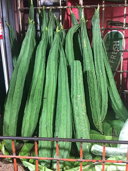 ANGLED LUFFA / OKRA CEE GWA / RIDGE GOURD / SINQUA seeds – Boondie Seeds