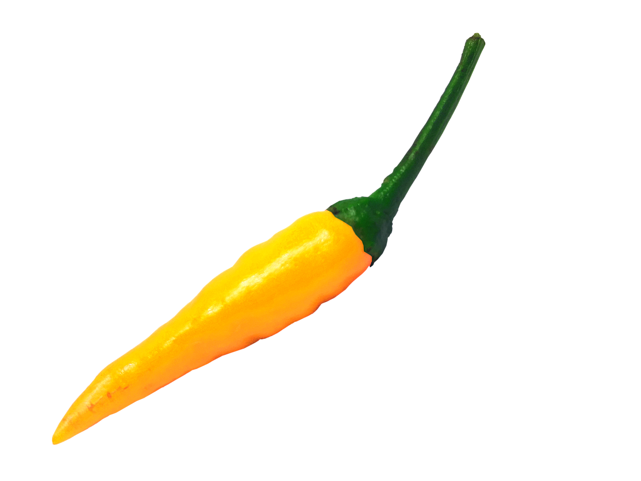 CHILLI 'Thai Yellow' seeds – Boondie Seeds