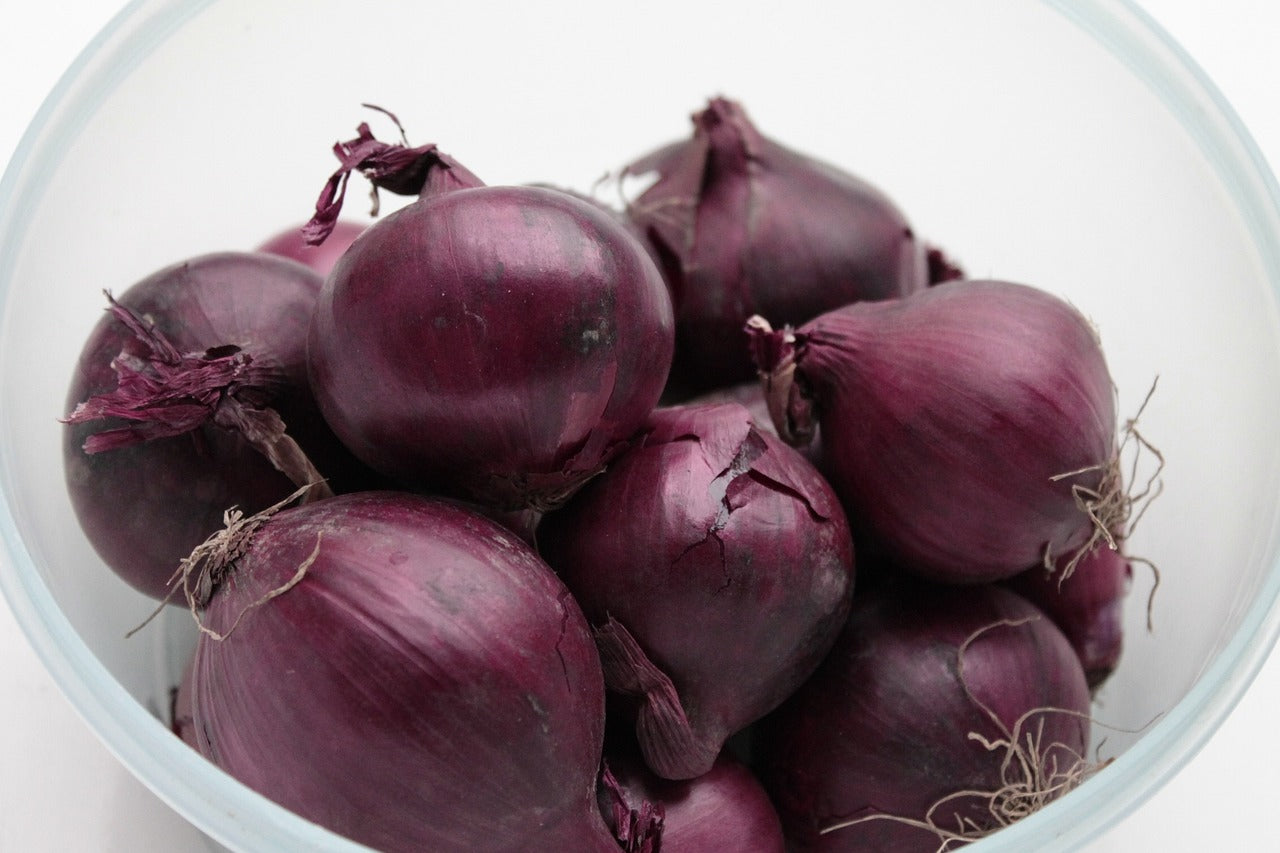 ONION 'Amposta Purple' seeds – Boondie Seeds