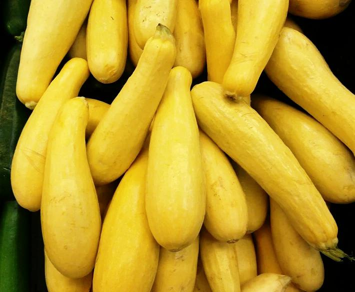 SQUASH 'Yellow Straightneck' seeds – Boondie Seeds