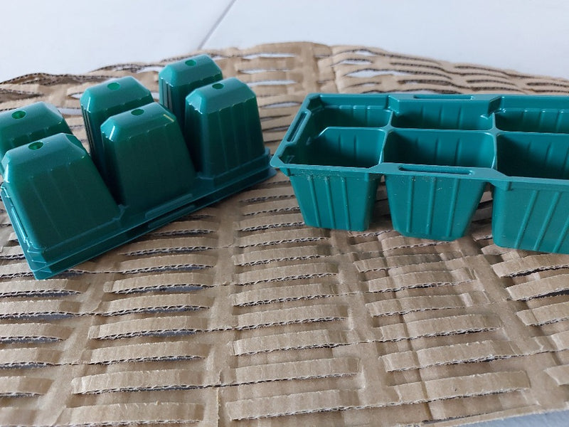 6 CELL SEEDLING METRIC PUNNET / POT – Boondie Seeds