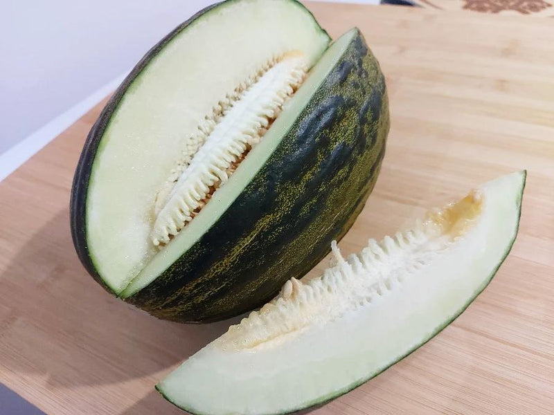 ROCKMELON Piel de sapo / Christmas melon / Santa Claus melon seeds ...