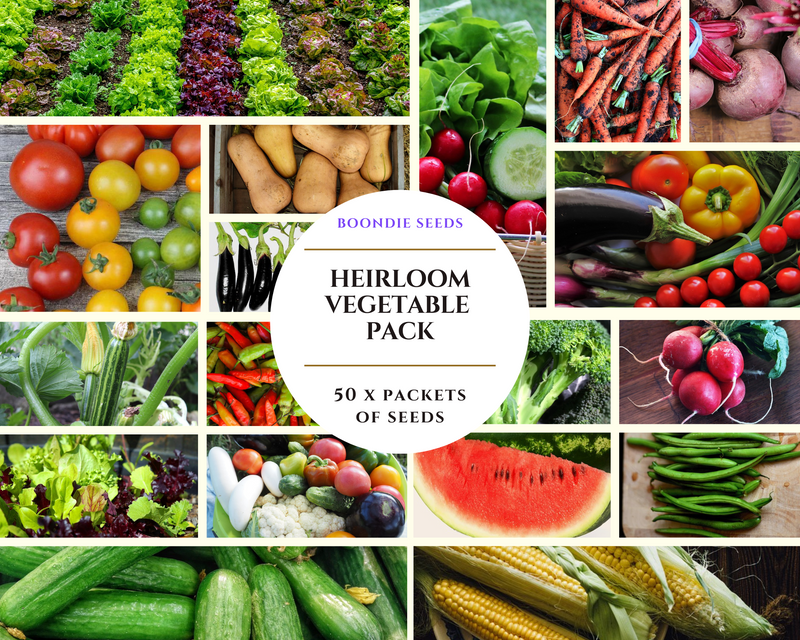 HEIRLOOM VEGETABLE 50 packets GARDEN PACK mixed GARDEN STARTER seeds ...
