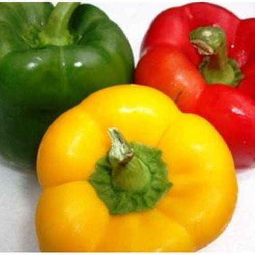 CAPSICUM 'Sweet Delight' Mixed / Bell Pepper mix seeds – Boondie Seeds