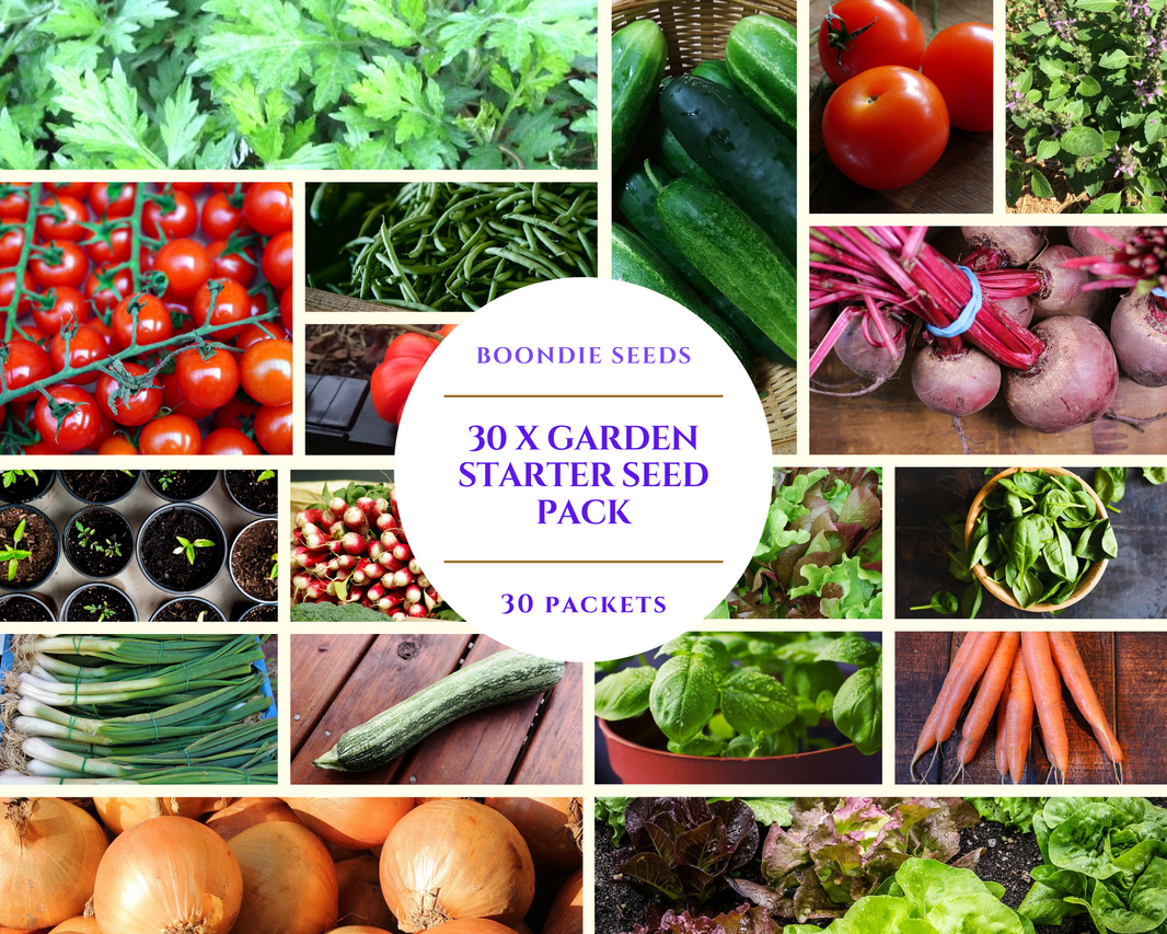 SEED PACKS – Boondie Seeds