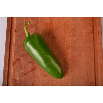 Chilli – Boondie Seeds