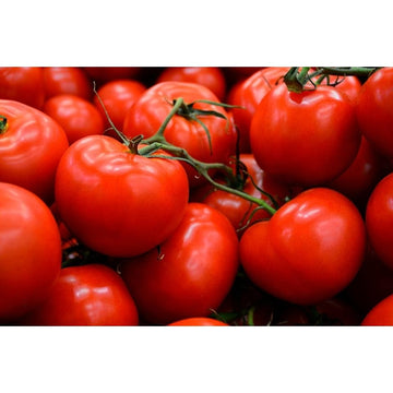 Tomato – Page 2 – Boondie Seeds