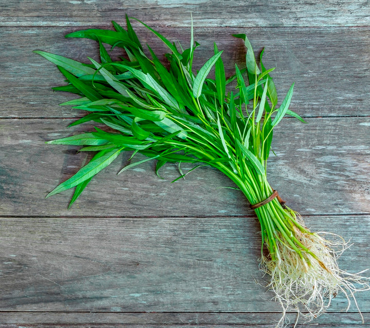 Spring / Summer – Boondie Seeds