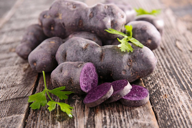 SEED POTATO - Purple Congo – Boondie Seeds