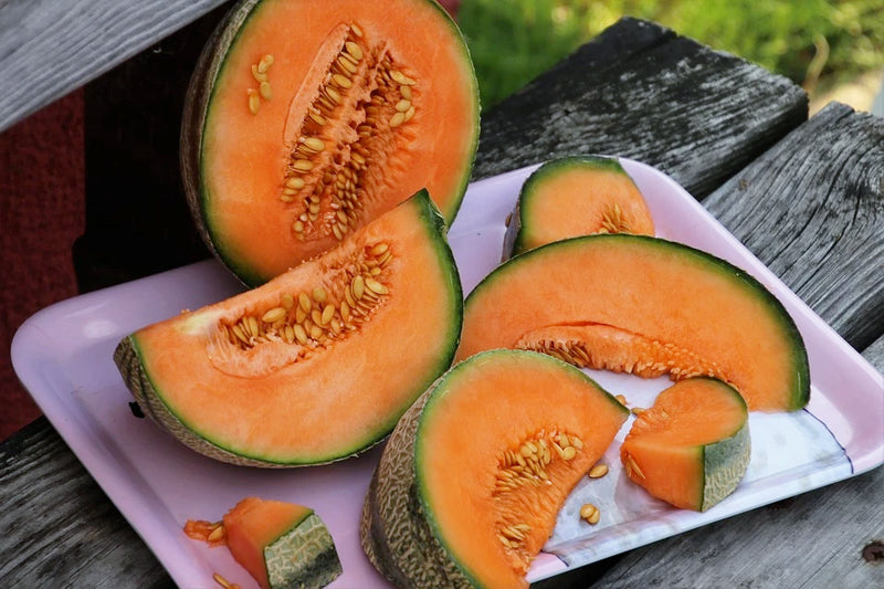 ROCKMELON 'Hales Best' *ORGANIC* seeds – Boondie Seeds