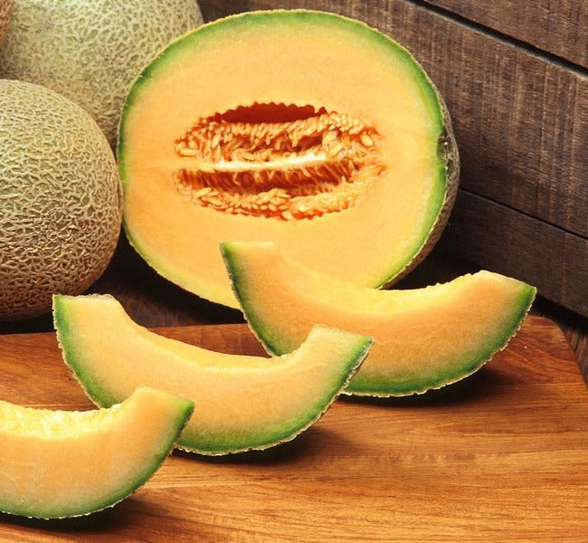 ROCKMELON 'Hales Jumbo' seeds – Boondie Seeds