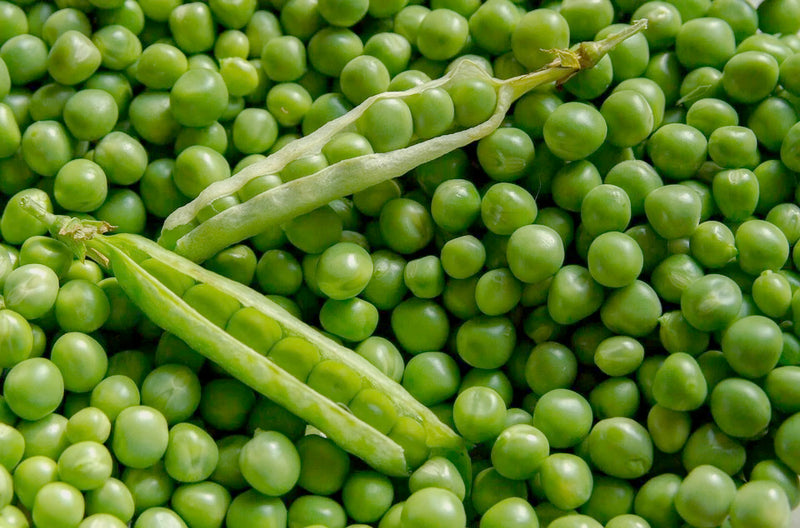 PEA SHELLING 'Greenfeast' seeds – Boondie Seeds
