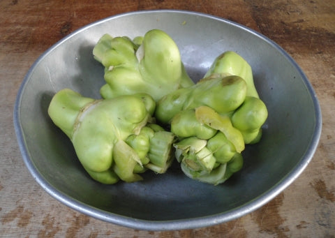 MUSTARD STEM seeds / Sichuan Mustard / Zha cai Mustard – Boondie Seeds